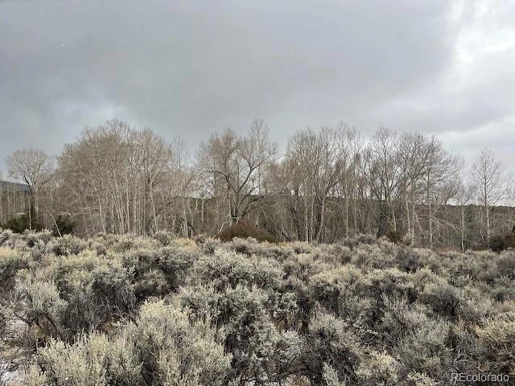 2242 Slegers Rd, Fort Garland Property Listing: MLS® #5067062