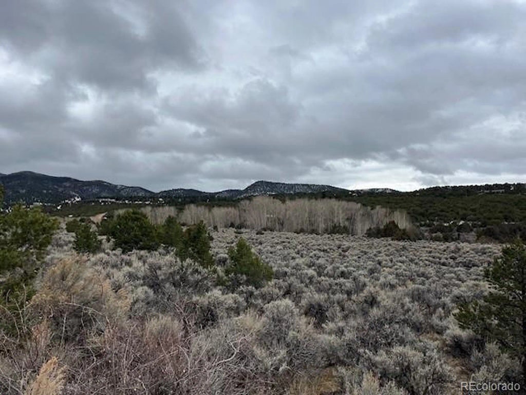 2242 Slegers Rd, Fort Garland Property Listing: MLS® #5067062