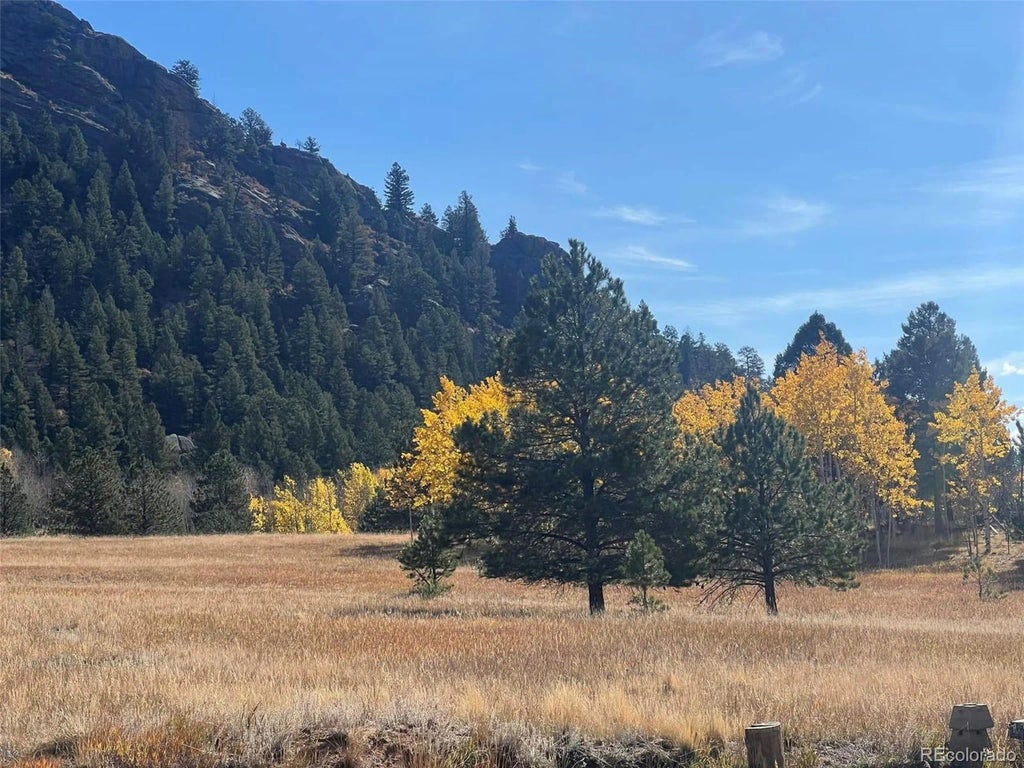 1965 Vagabond Creek Dr, Lake George Property Listing: MLS® #3497194