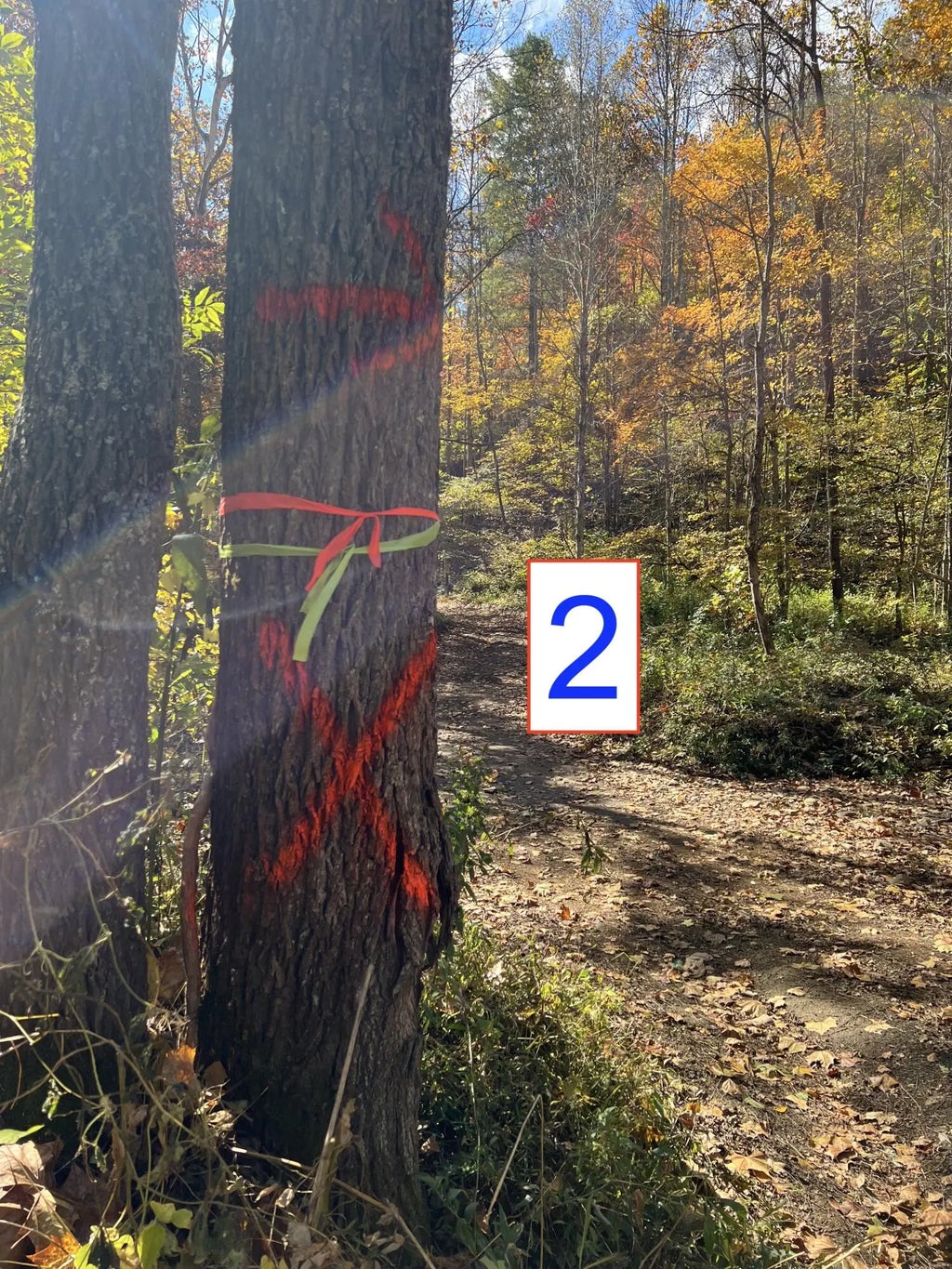 0 Clover Bottom Creek Road, McKee Property Listing: MLS® #24005065