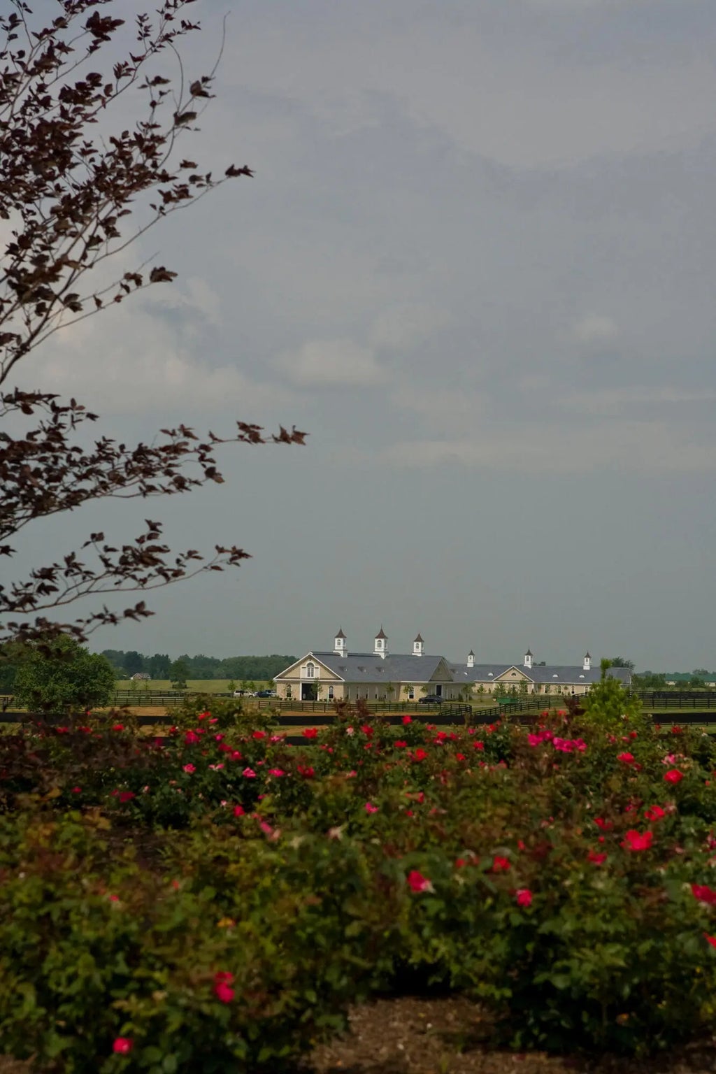 629 Cane Ridge Road, Paris Property Listing: MLS® #25012207