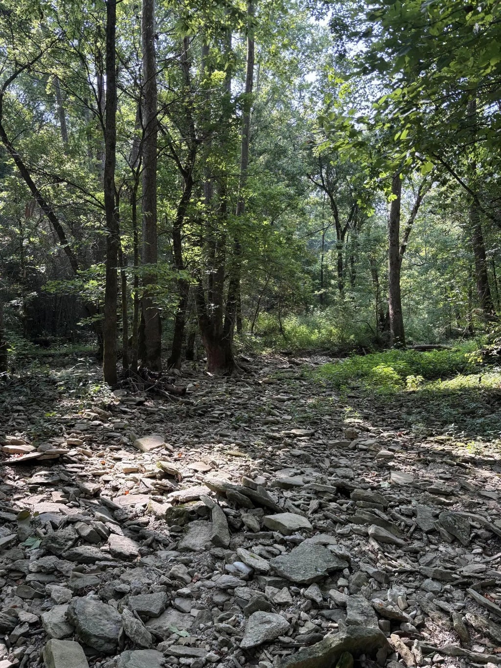 058-00-00-022.00 Shadrick Ferry Road, Frankfort Property Listing: MLS ...