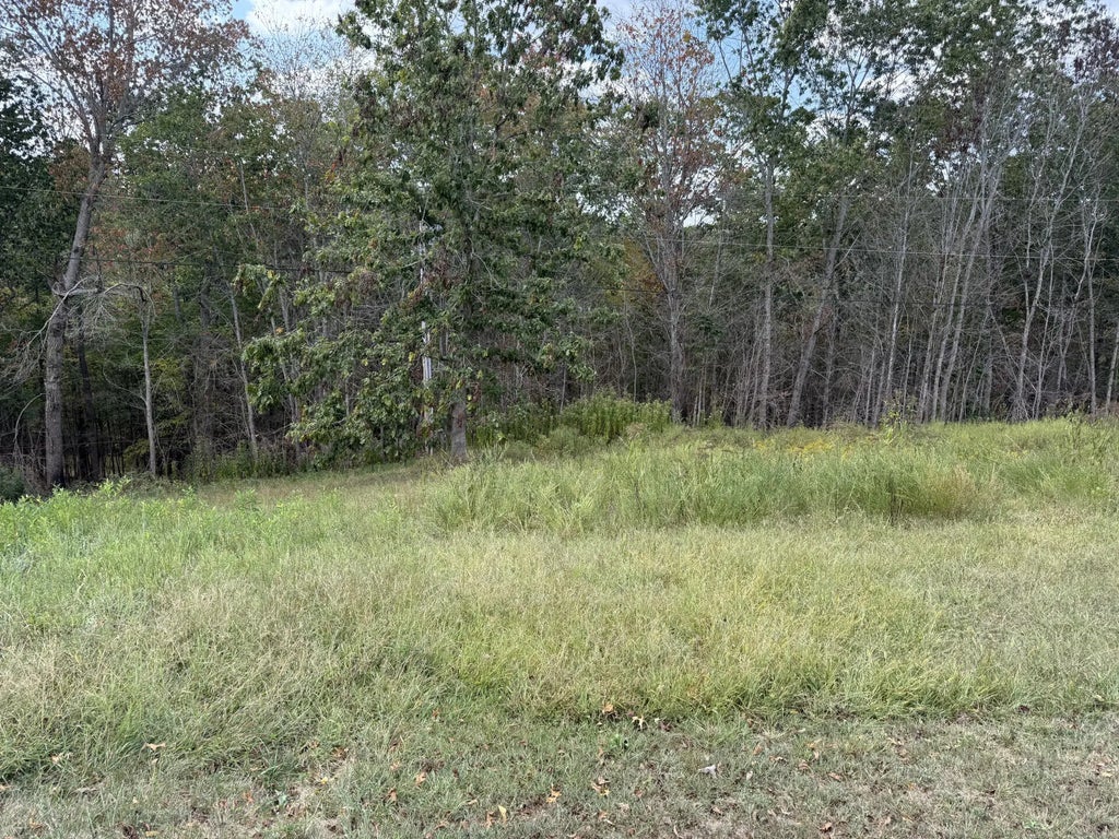 188 Strawberry Lane, Olive Hill Property Listing: MLS® #25502154