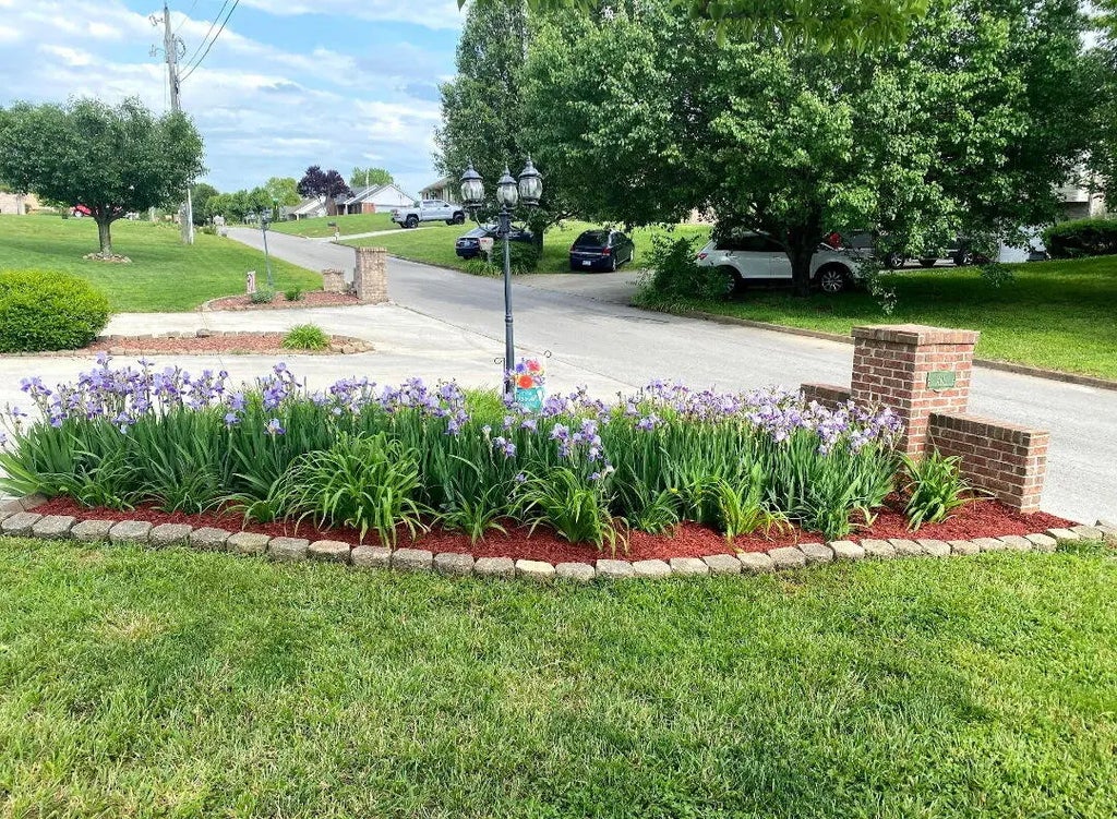 38 Pinnacle Pointe Drive, Somerset Property Listing: MLS® #25508281