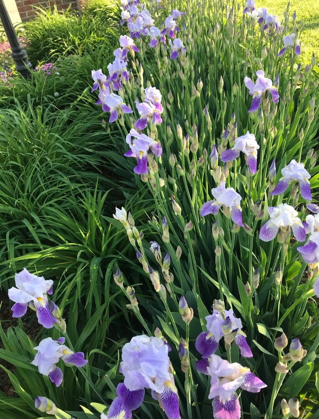 38 Pinnacle Pointe Drive, Somerset Property Listing: MLS® #25508281