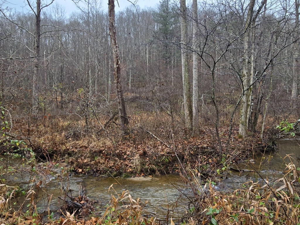 Lot 1,2,3,4 High Rock Road, Stanton Property Listing: MLS® #25508825