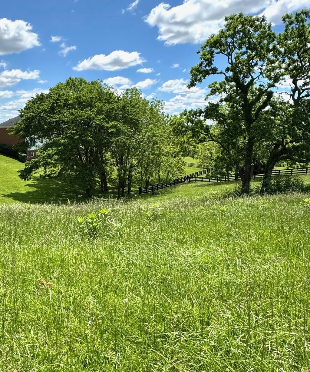 200 Victoria Way, Georgetown Property Listing: MLS® #26000605