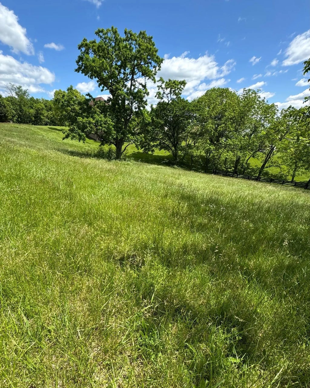 200 Victoria Way, Georgetown Property Listing: MLS® #26000605