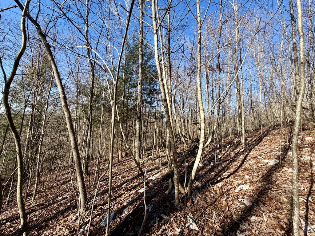 9999 Rocky Branch Road, East Bernstadt Property Listing: MLS® #26000792