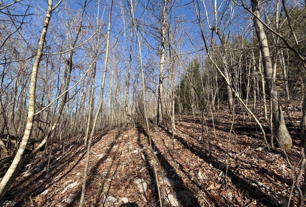 9999 Rocky Branch Road, East Bernstadt Property Listing: MLS® #26000792