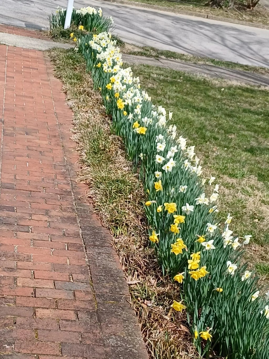 3412 Heritage Place, Lexington Property Listing: MLS® #26000996