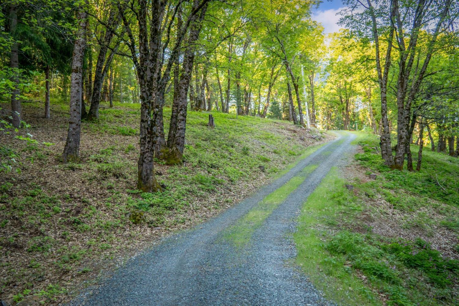 14437 Lightning Tree Road, Nevada City Property Listing: MLS® #225117145