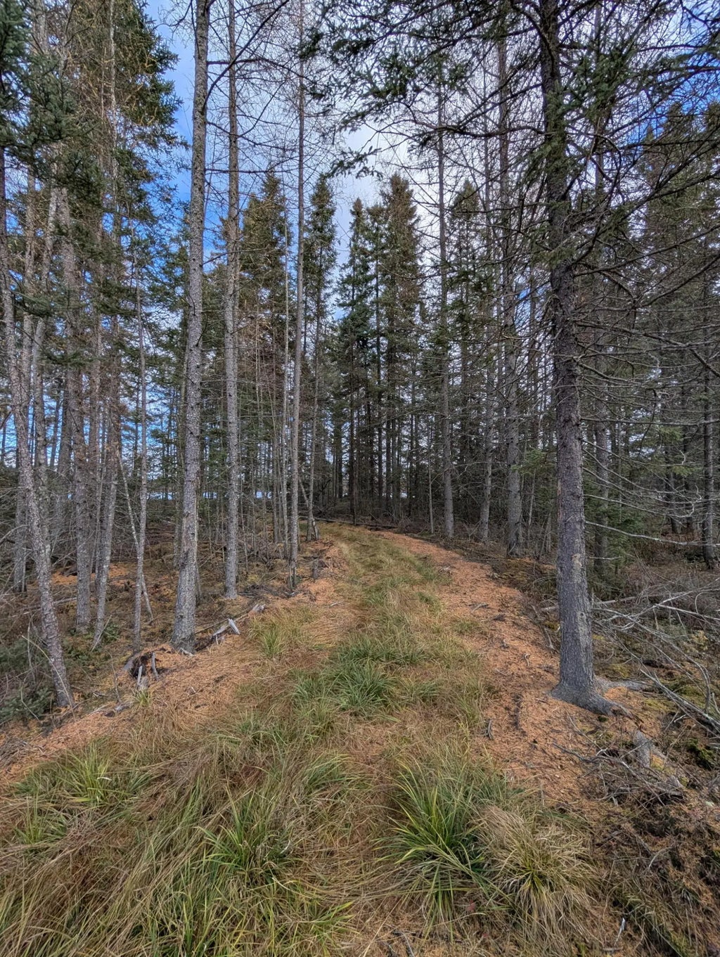 Vl Slough Lake Road, Gwinn Property Listing: MLS® #25060024