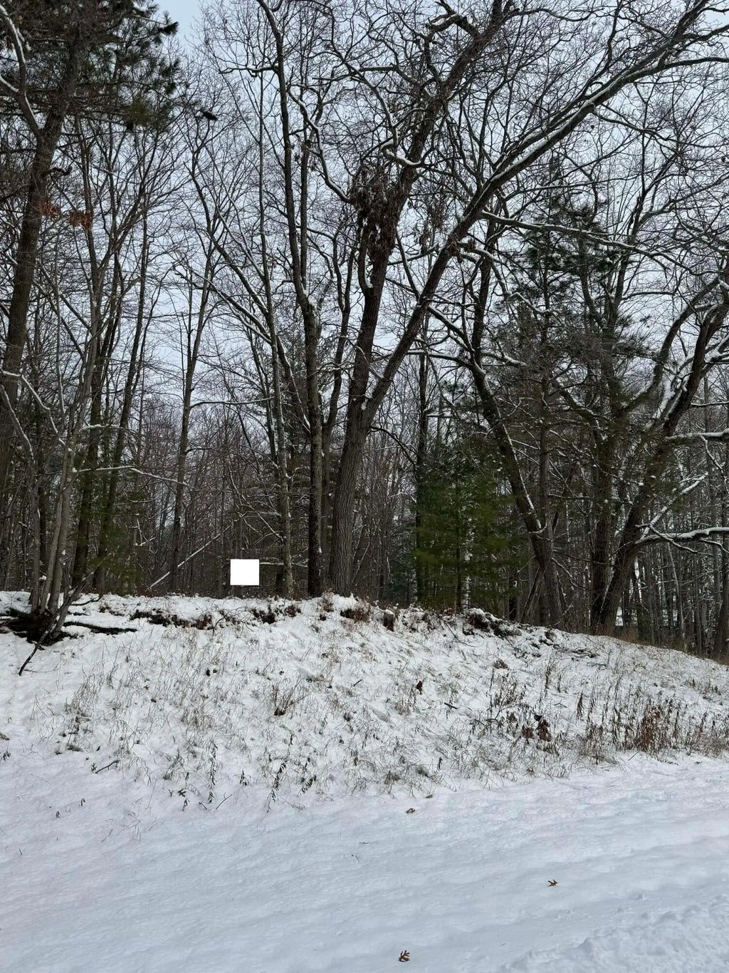 Oakridge Drive, Oscoda Property Listing: MLS® #25062948