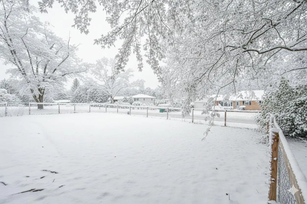 2262 Warren Road, Niles Property Listing: MLS® #26000069