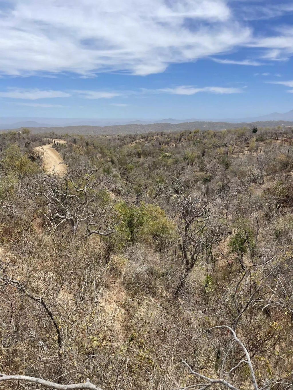 Predio Encinitos - Fraccion M, Pacific Property Listing: MLS® #24-2304