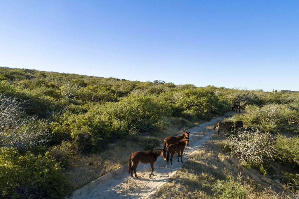 Camino Cabo Del Este Punta Perfecta, East Cape Property Listing: MLS ...