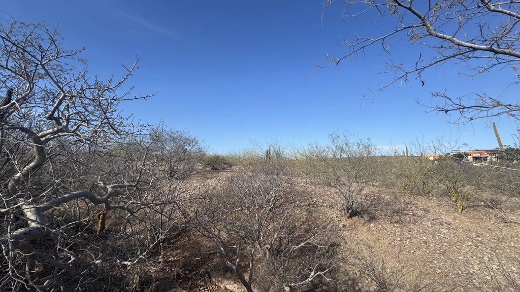 Calle 11 Lote 10 Lomas Del Centenario, La Paz Property Listing: MLS ...