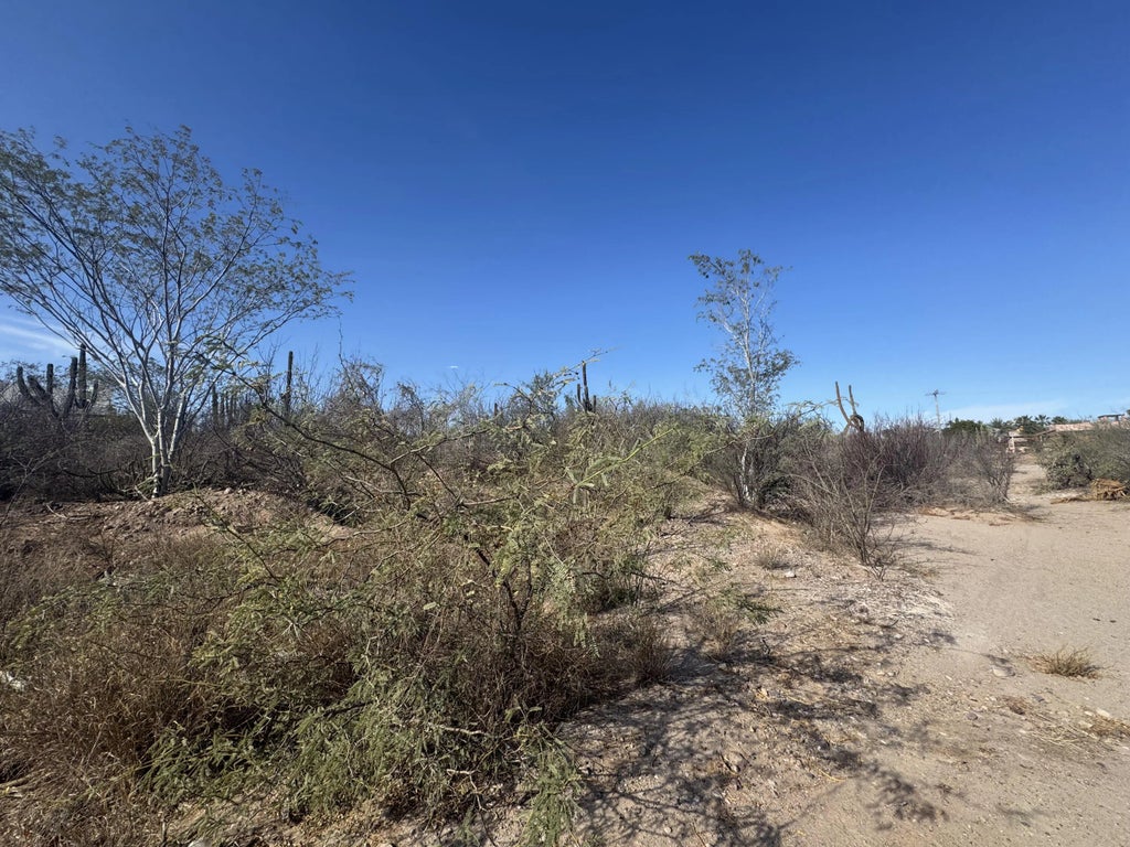 Calle 12 Lote 07 Lomas De Centenario, La Paz Property Listing: MLS® #25 ...