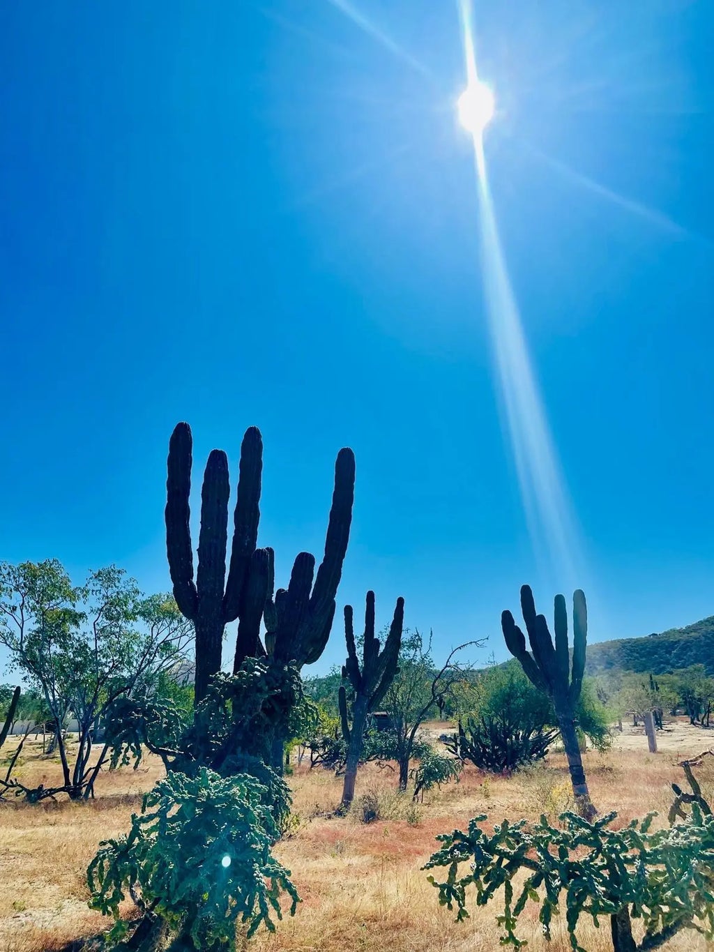 Lote 7 Colina Del Sol Land, East Cape Property Listing: MLS® #26-319