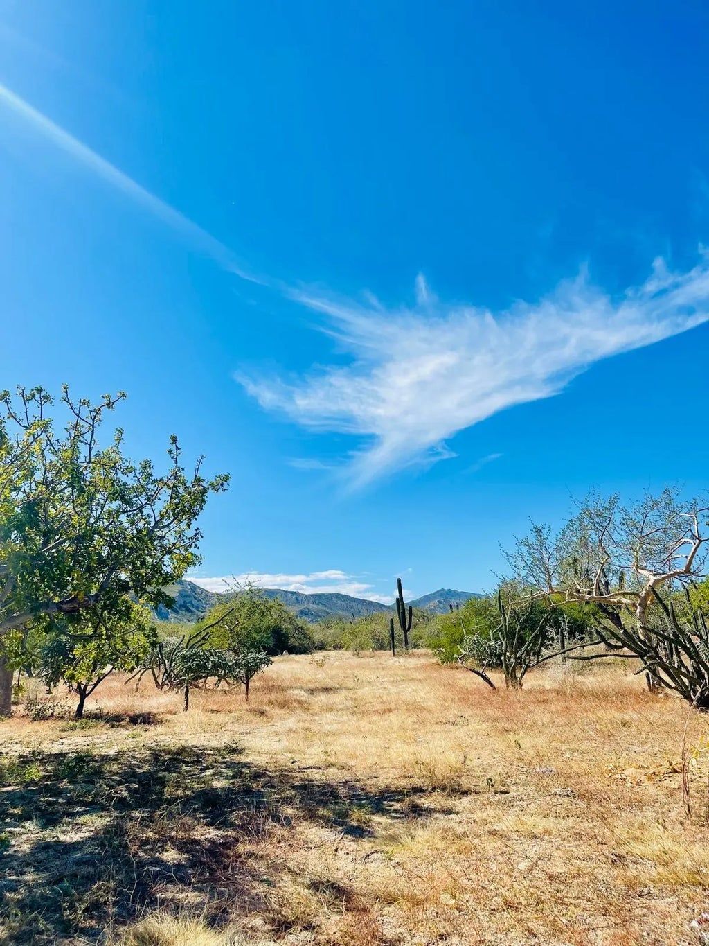 Lote 7 Colina Del Sol Land, East Cape Property Listing: MLS® #26-319