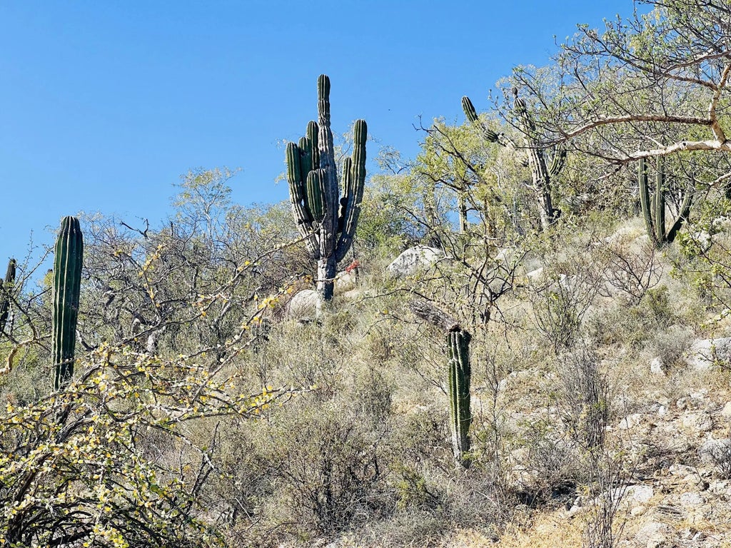 Lot M8-1 Rancho Cerro Beauty, East Cape Property Listing: MLS® #26-325