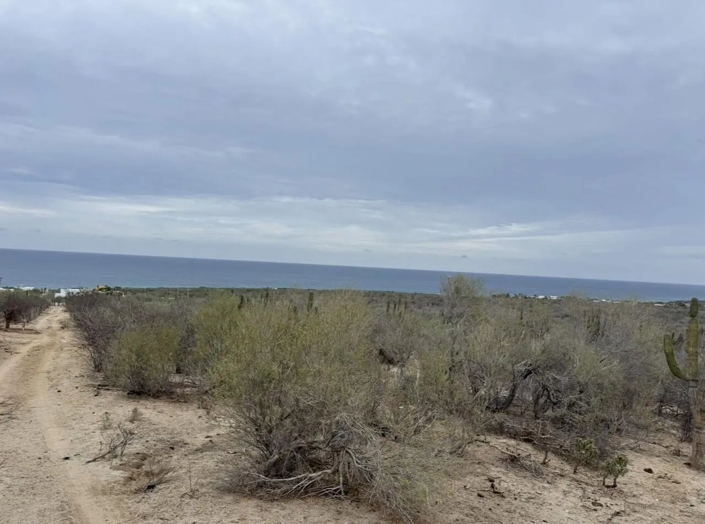 Camino Vecinal El Cardonal Lote Las Tinas 5, East Cape Property Listing ...