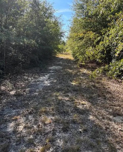 7b Pearl Bonnett, Windsor Property Listing: MLS® #551129