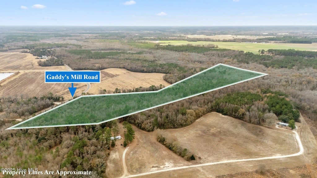 0 Gaddy's Mill Rd, Maxton Property Listing: MLS® #100547074