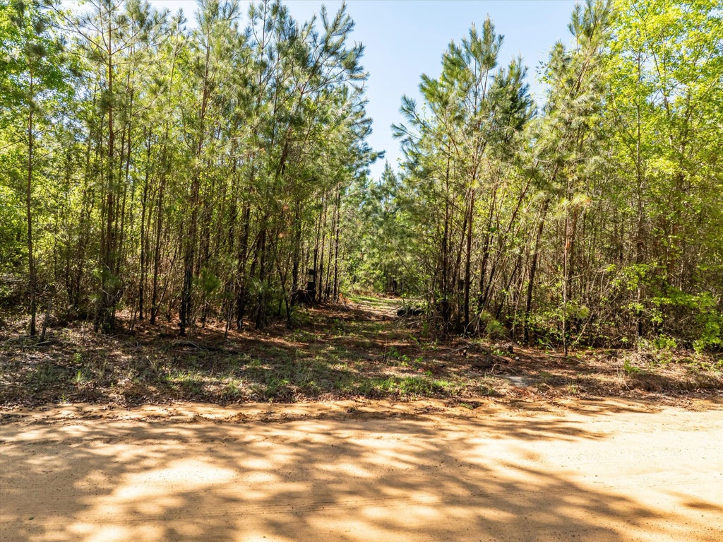 0 Whitaker Road, Dearing Property Listing: MLS® #540660