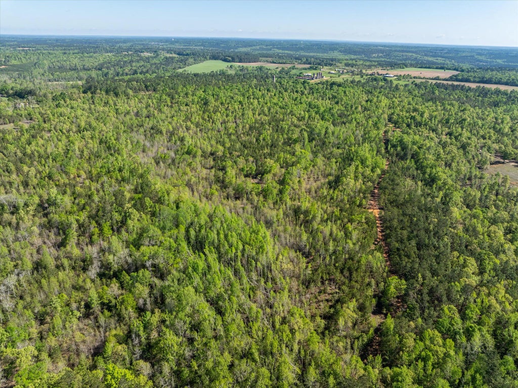 0 Whitaker Road, Dearing Property Listing: MLS® #540660