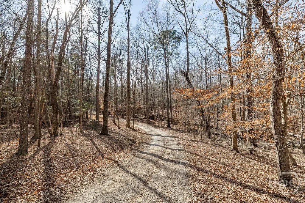 1115 Black Ike Road, Watkinsville Property Listing: MLS® #CL345789