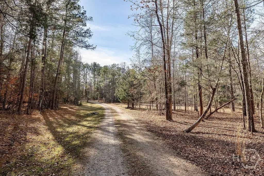 1115 Black Ike Road, Watkinsville Property Listing: MLS® #CL345789