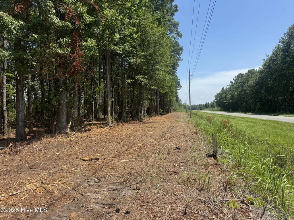 4102 Near 4102 Swamp Fox Highway W, Tabor City Property Listing: MLS ...