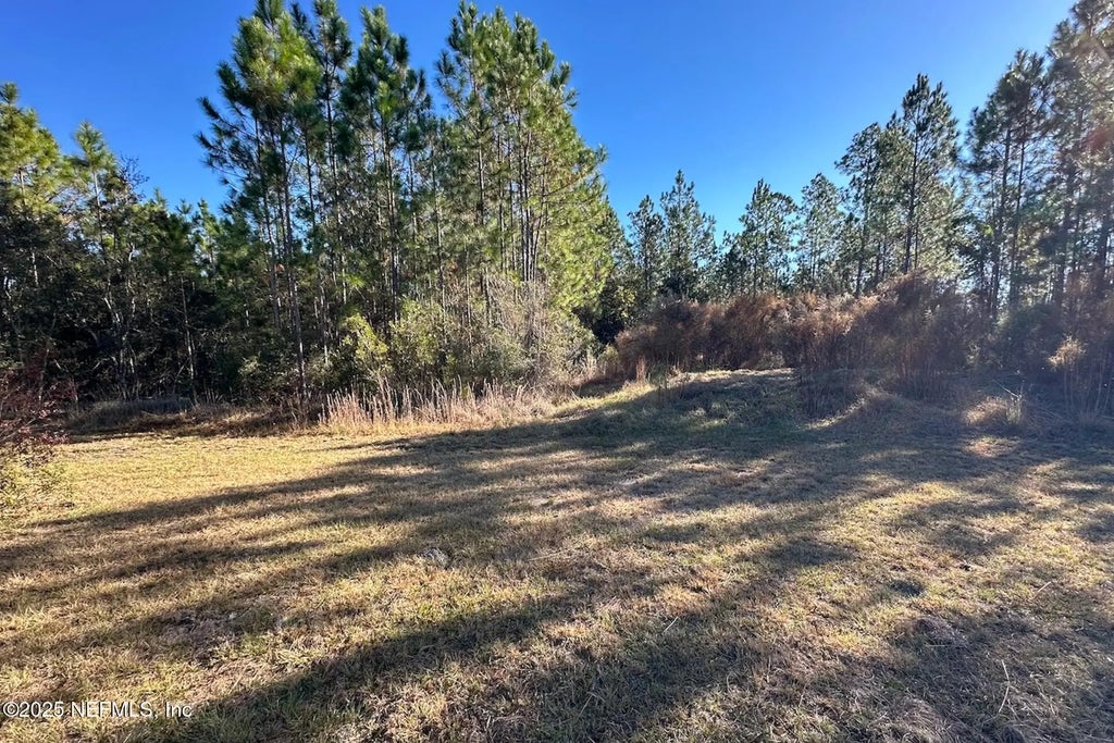 8311 County Road 217, Jacksonville Property Listing: MLS® #2122347 in ...