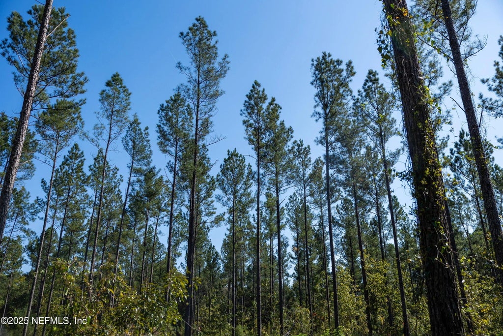 Us Highway 301, Callahan Property Listing: MLS® #2122541 in Metes & Bounds