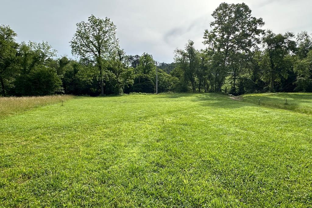 Lot 20 Cricket Lane, Brasstown NC | Brasstown Lots/Land Homes For Sale