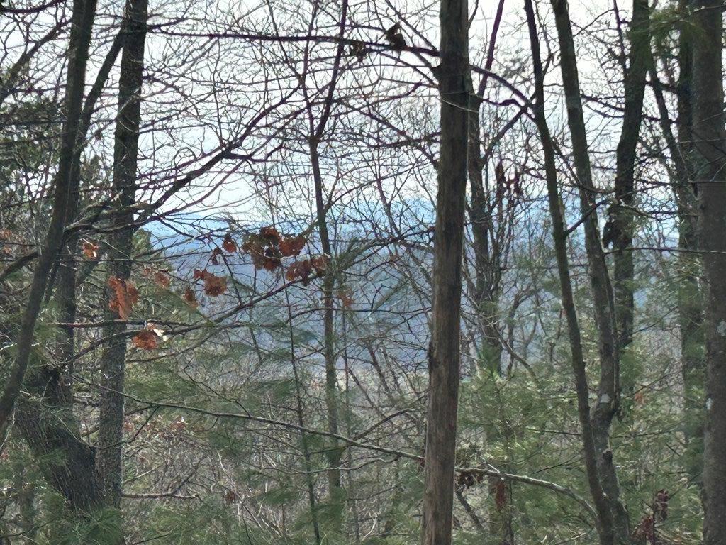 Ruthe Ridge Lane, Murphy NC | Murphy Lots/Land Homes For Sale