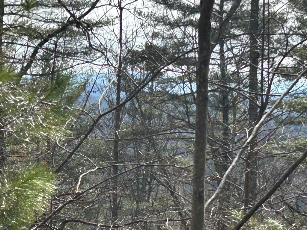 Ruthe Ridge Lane, Murphy NC | Murphy Lots/Land Homes For Sale