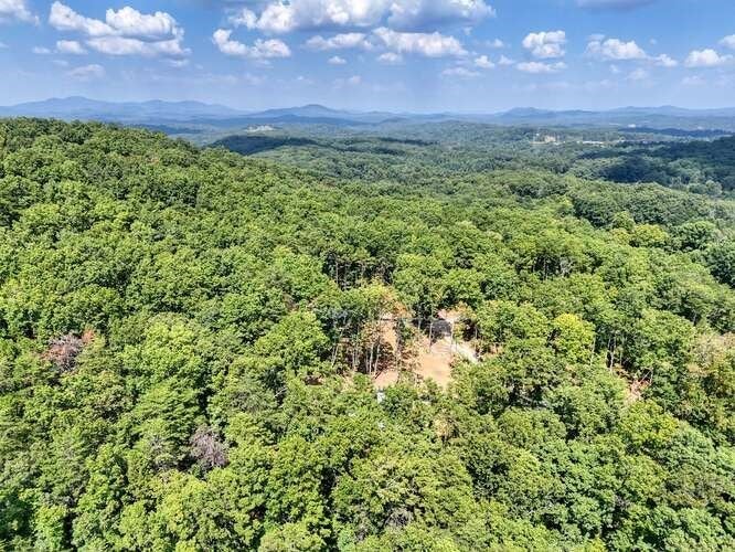 458 Sowers Road, Blue Ridge GA | Blue Ridge Cabin Homes For Sale