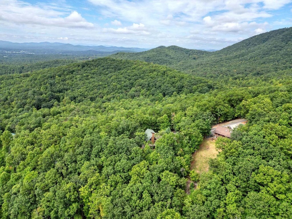 116 Wildwood Road, Young Harris GA | Young Harris Cabin Homes For Sale