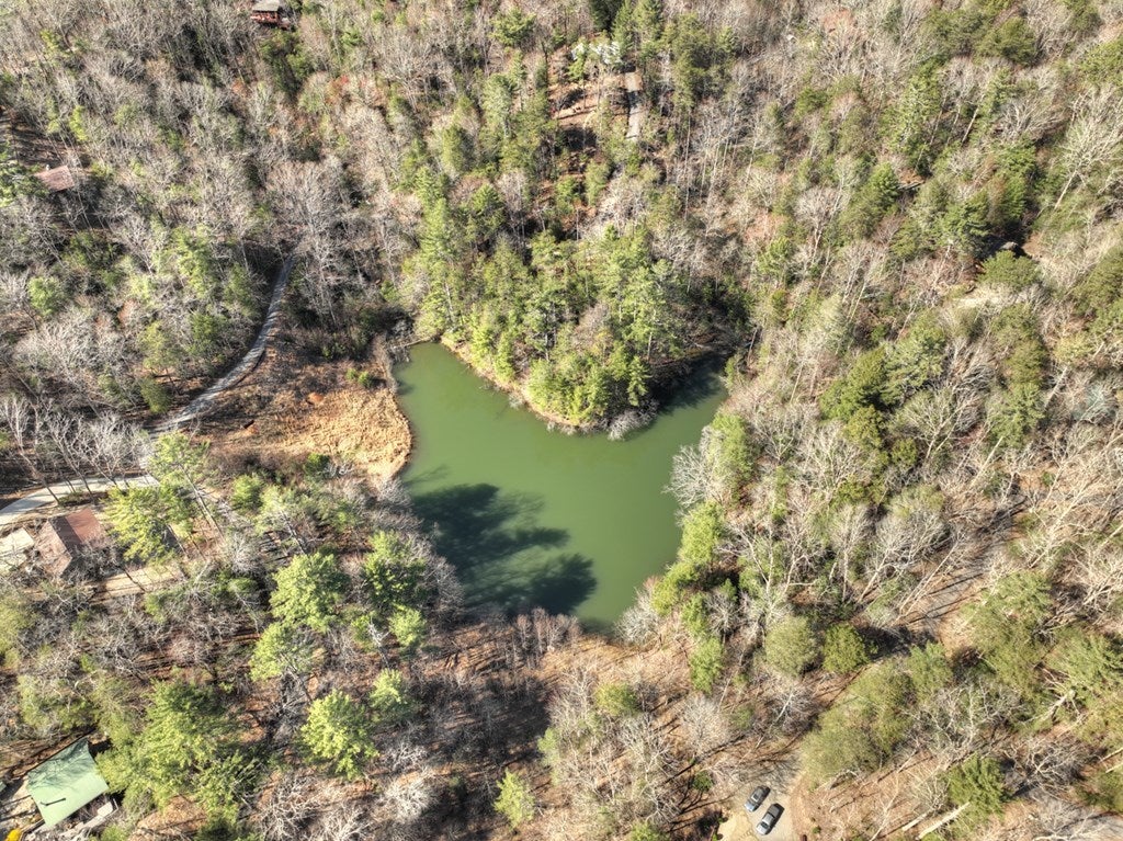 1480 Hidden Lake Drive, Cherry Log GA | Cherry Log Log Cabin Homes For Sale