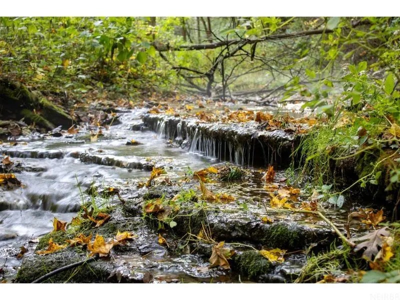 Gold Mine Road, McGregor Property Listing: MLS® #20254621