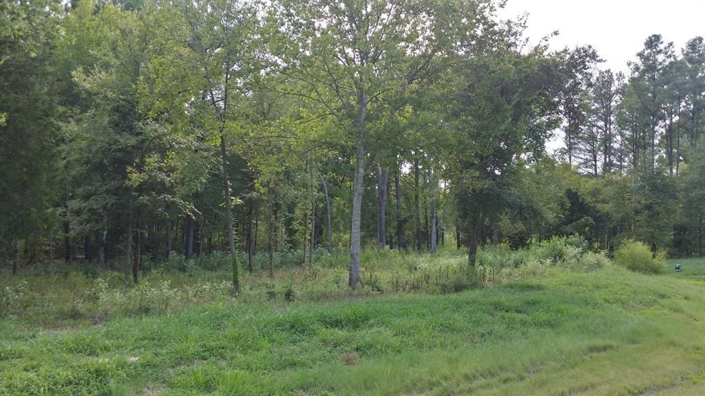 336 Grand View Drive, Athens, TX 75752 | Waters Edge Ranch Ph 3 MLS ...