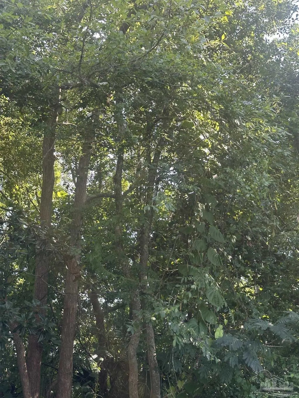 407 Reeves Rd, Pensacola Property Listing: MLS® #667229