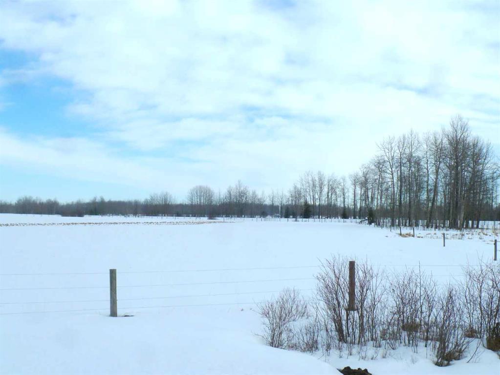 On Highway 598, Rural Clearwater County Property Listing: MLS® #A2281501