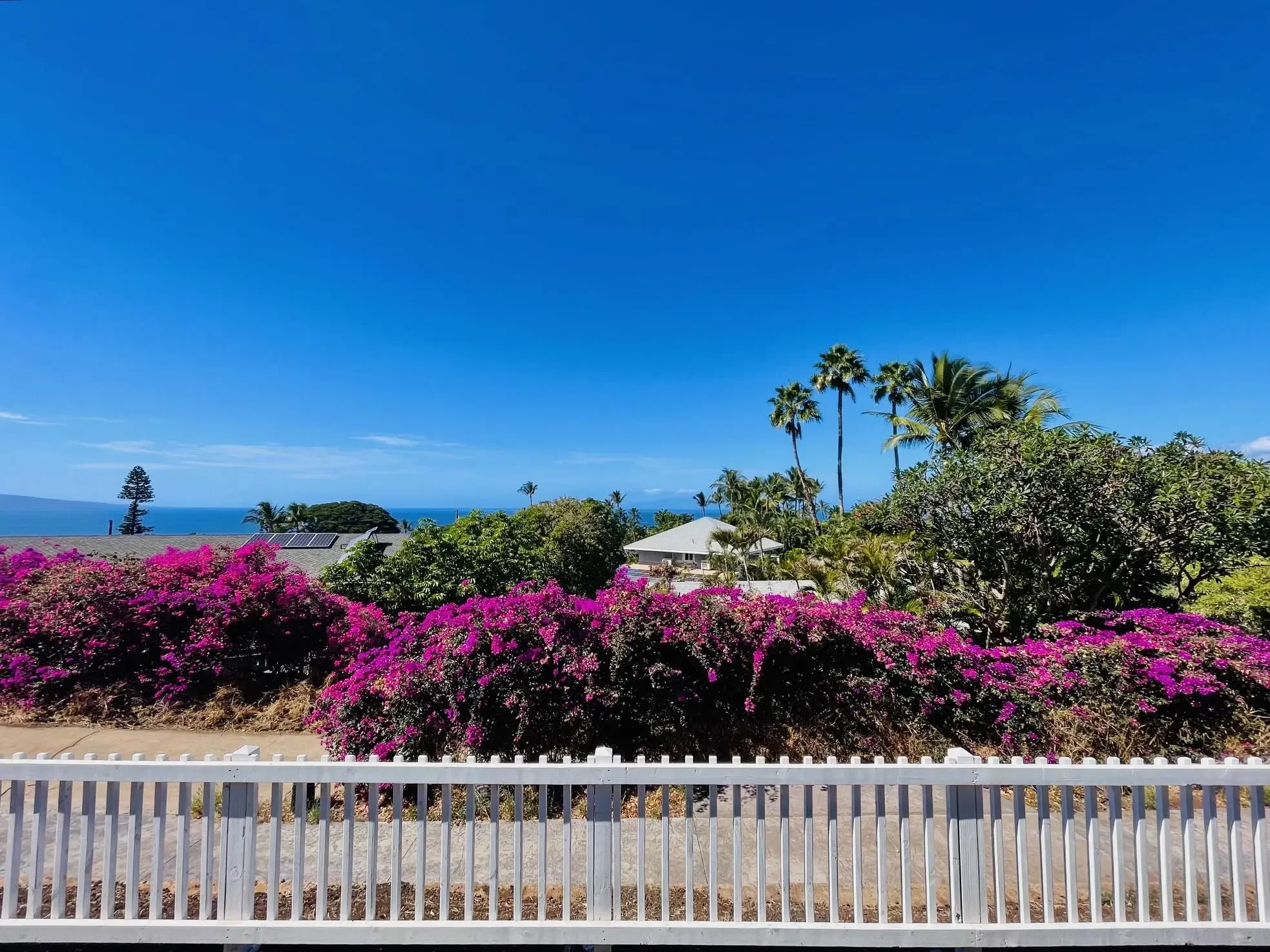 614 Kupulau Pl, Maui Meadows, HI 96753