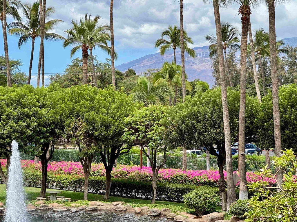 Kamaole Sands 10213 | 2695 S Kihei Rd, Unit 10213, Kihei, HI 96753