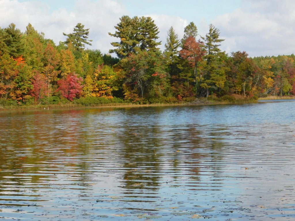 W606 Joe Johnson Road, SURING - MLS #50318478 - LakePlace.com