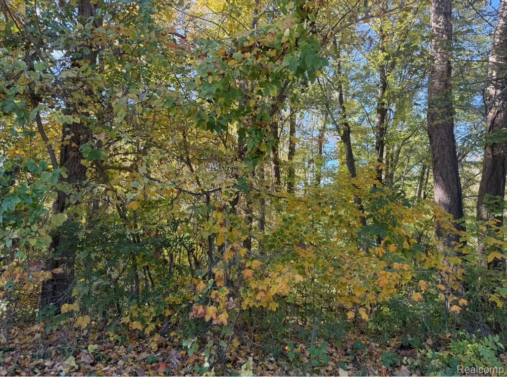 Townsend Townsend Road, Maybee village Property Listing: MLS® #20251048837